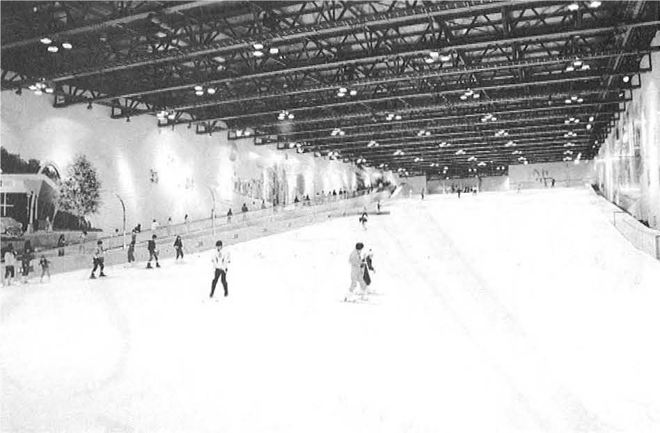 Japan Sees First New Indoor Snow Centres For 20 Years